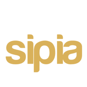 Sistema de Informações para a Infância e Adolescência SIPIA-CT ...